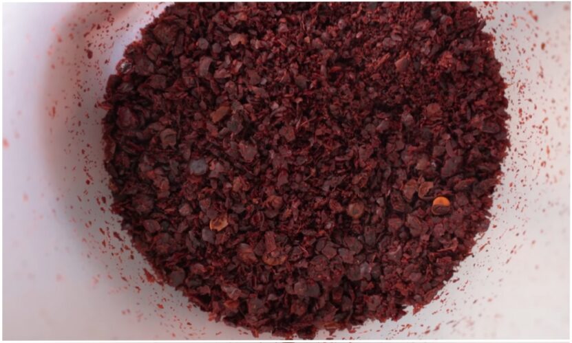 Need a Sumac Substitute? The 5 Best You Should Use